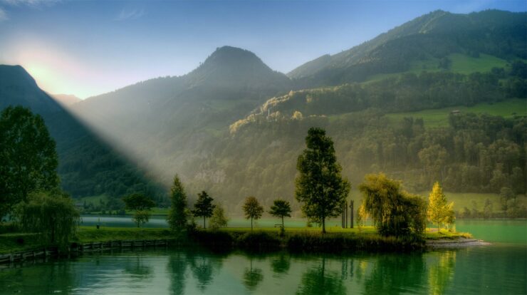 The Mental Health Benefits of Nature | Emotion Regulation & Essentials